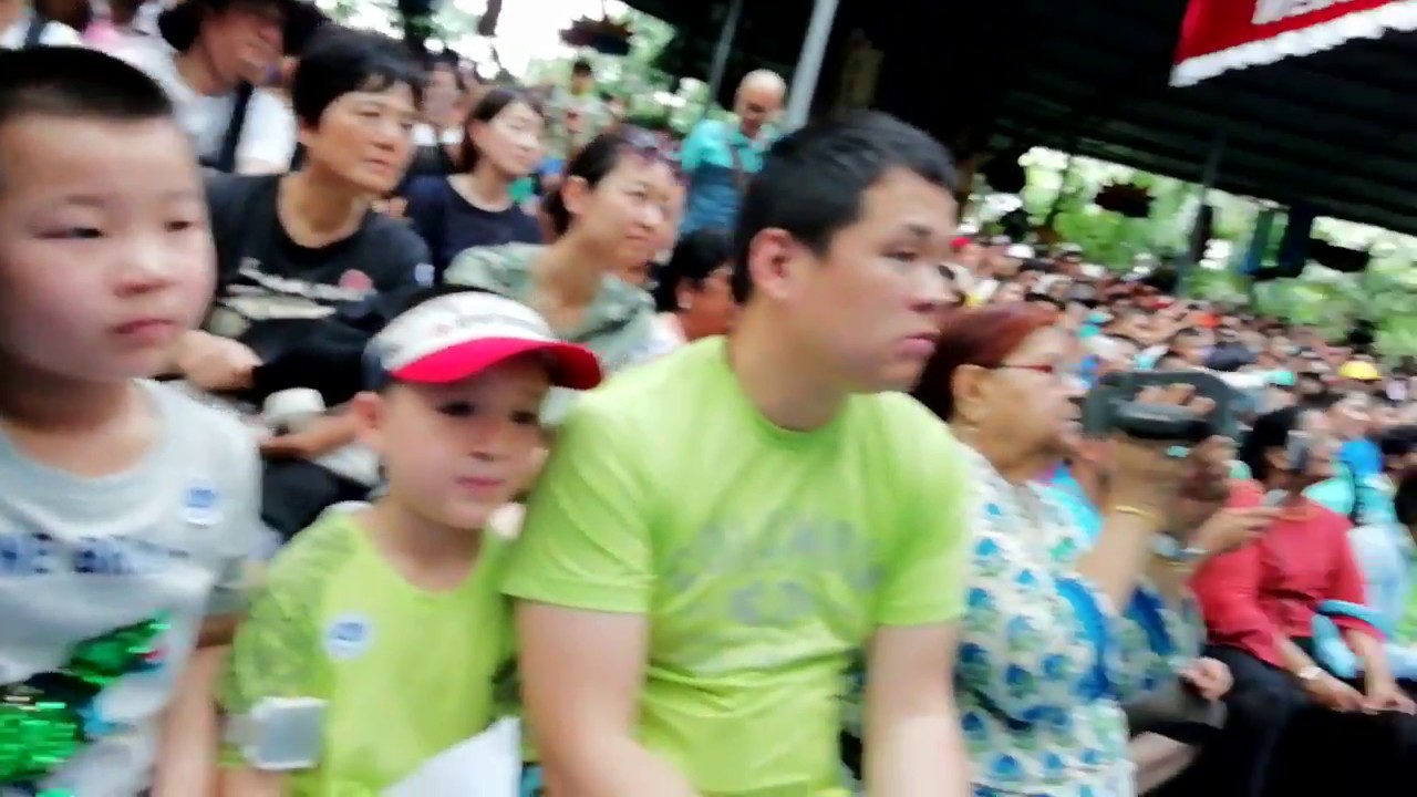 Monkey show full comedy, bandar bandariya fight show - YouTube