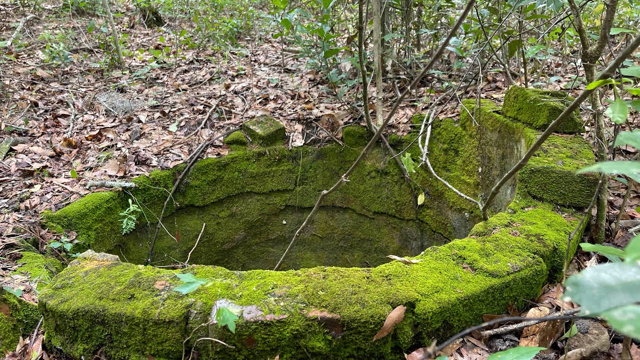 Old Homestead Site in Goethe State Forest - YouTube