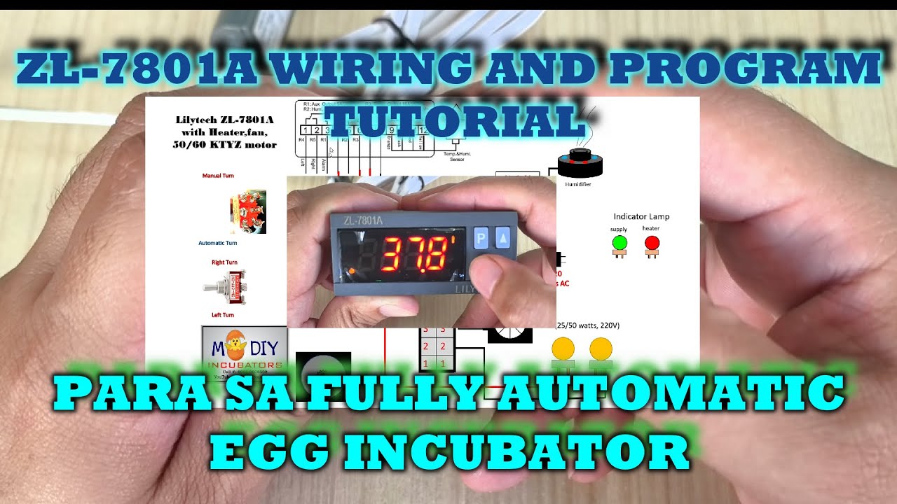Lilytech ZL 7801A Wiring and Program Setting Tutorial (FULLY AUTOMATIC EGG INCUBATOR) - YouTube