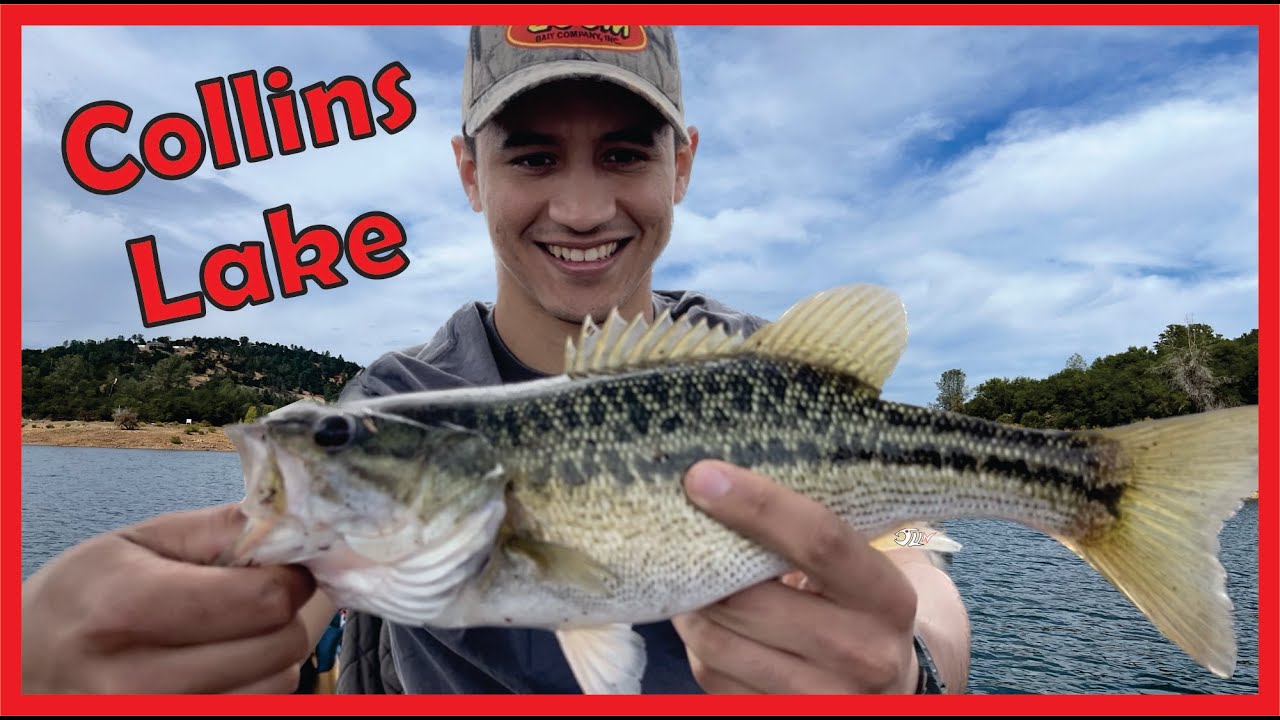 FISHING COLLINS LAKE | Multi Species - YouTube