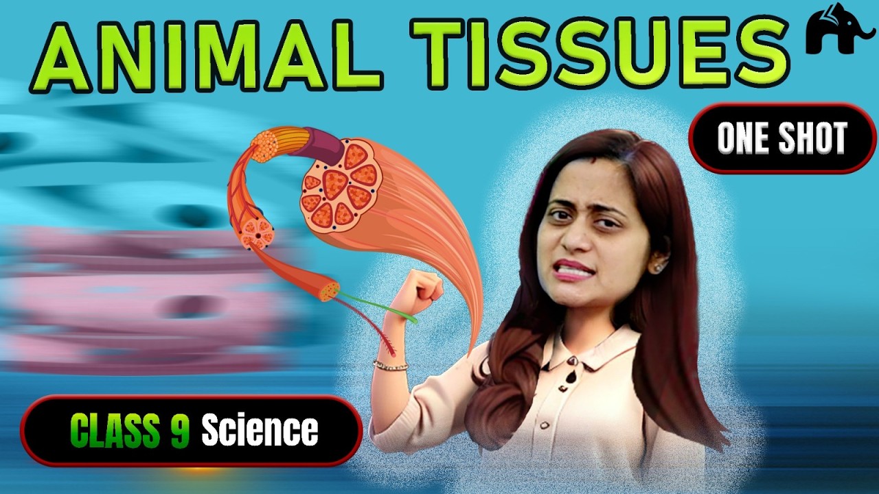 Tissues Class 9 Chapter 6 NCERT #2 | CBSE Science | Biology | Animal ...