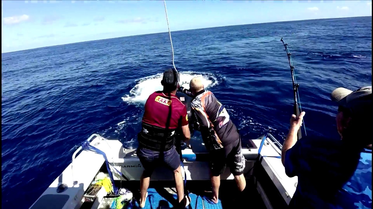 Double Hook Up on Striped Marlin - Gold Coast - YouTube