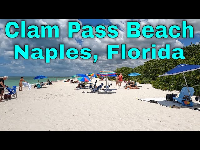 Clam Pass Beach Naples Fl