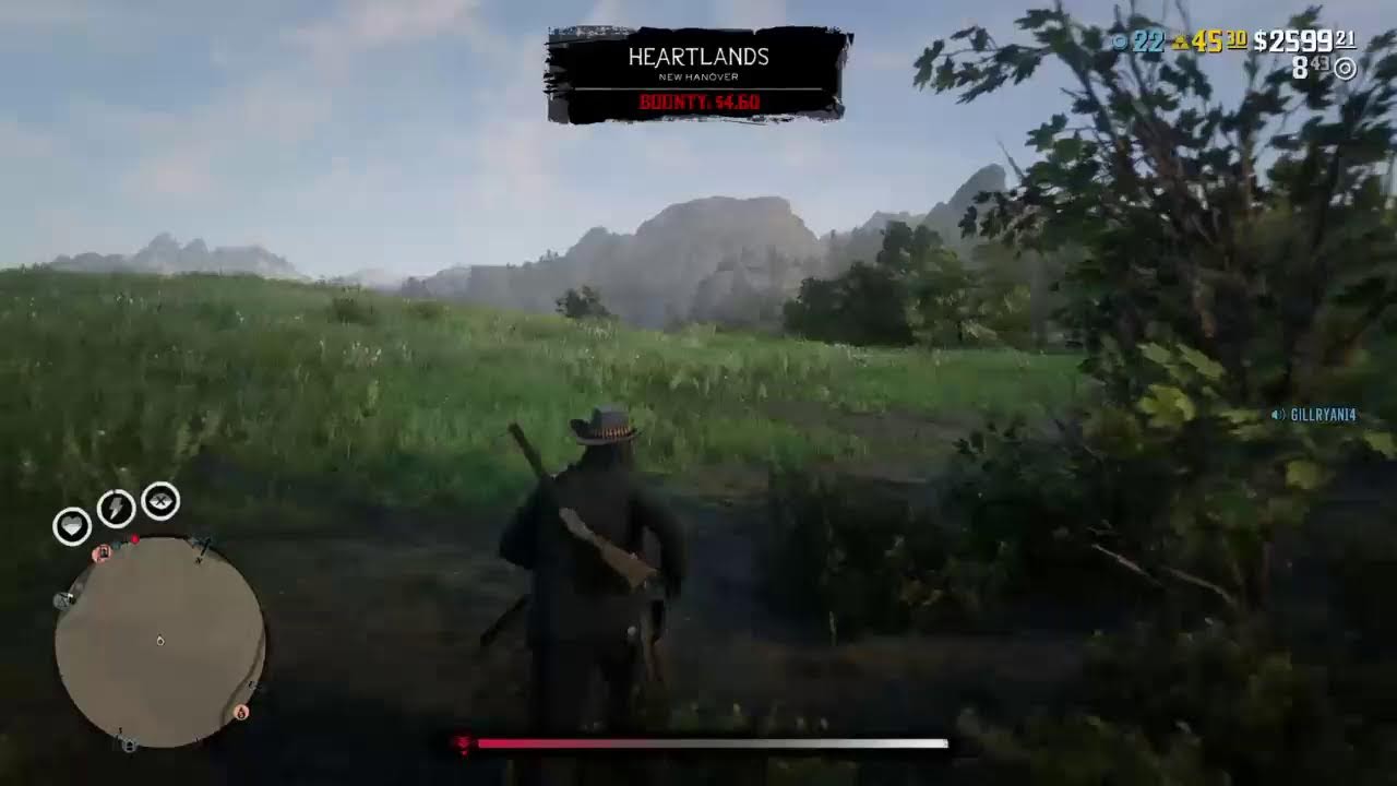 Wild west Rdr2 Rp - YouTube
