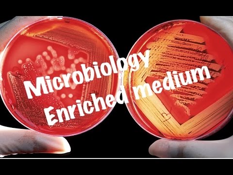 Medical Video Lecture, Microbiology: ENRICHED MEDIUM - YouTube