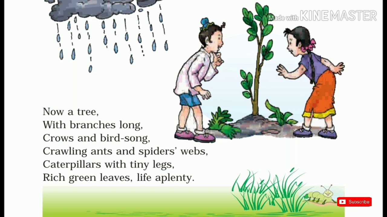 'Our Tree' Class 1 - Chapter 6 NCERT English Audiobook - YouTube