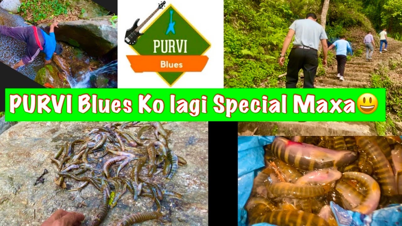 PURVI Blues Ko Lagi Special Maxa Mardai!!welcome to paatigaun😍👍 - YouTube