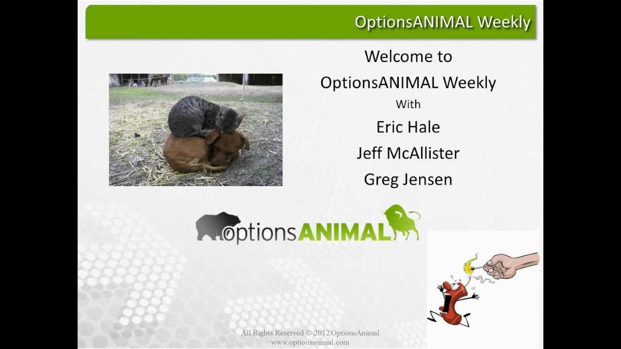 OptionsANIMAL Weekly 10-19-2012 - YouTube