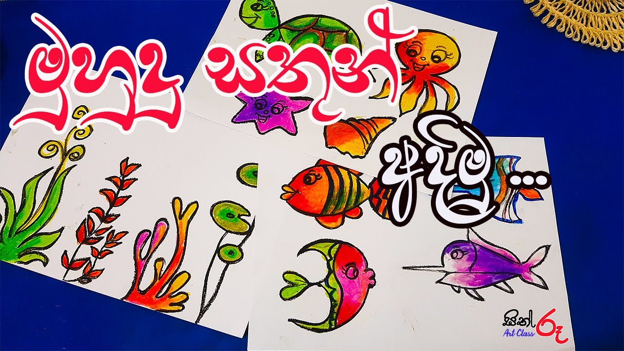 වෙරළේ අසිරිය චිත්‍ර / මුහුදේ සිටින මාලුන් චිත්‍රයට නගමු / කැස්බෑවා ...