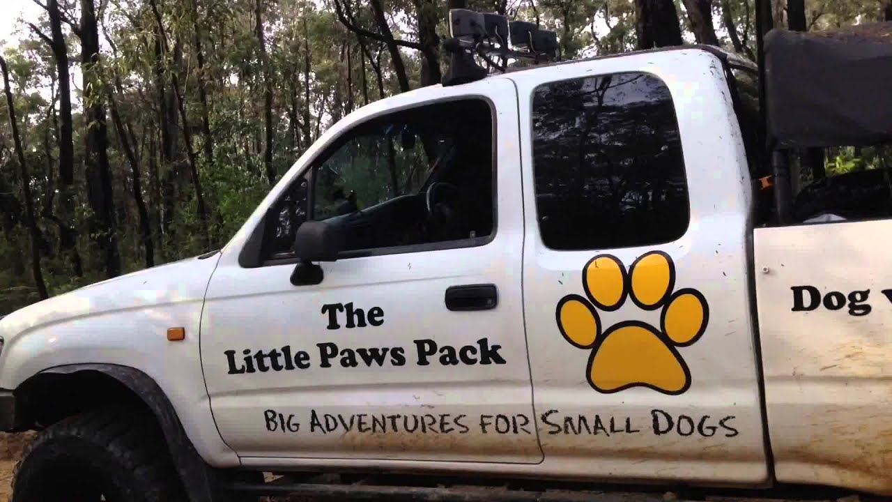 Camping Watagan State Forest - YouTube