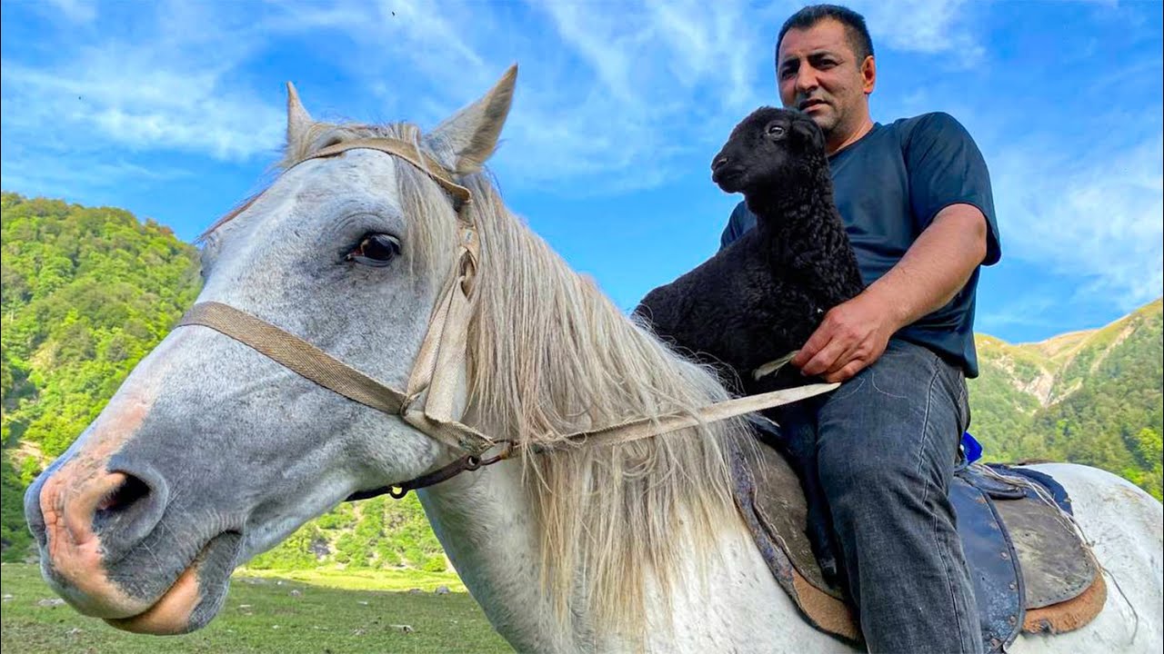 One Day in the Life of a Shepherd! Dinner of a Whole Lamb on the Fire ...