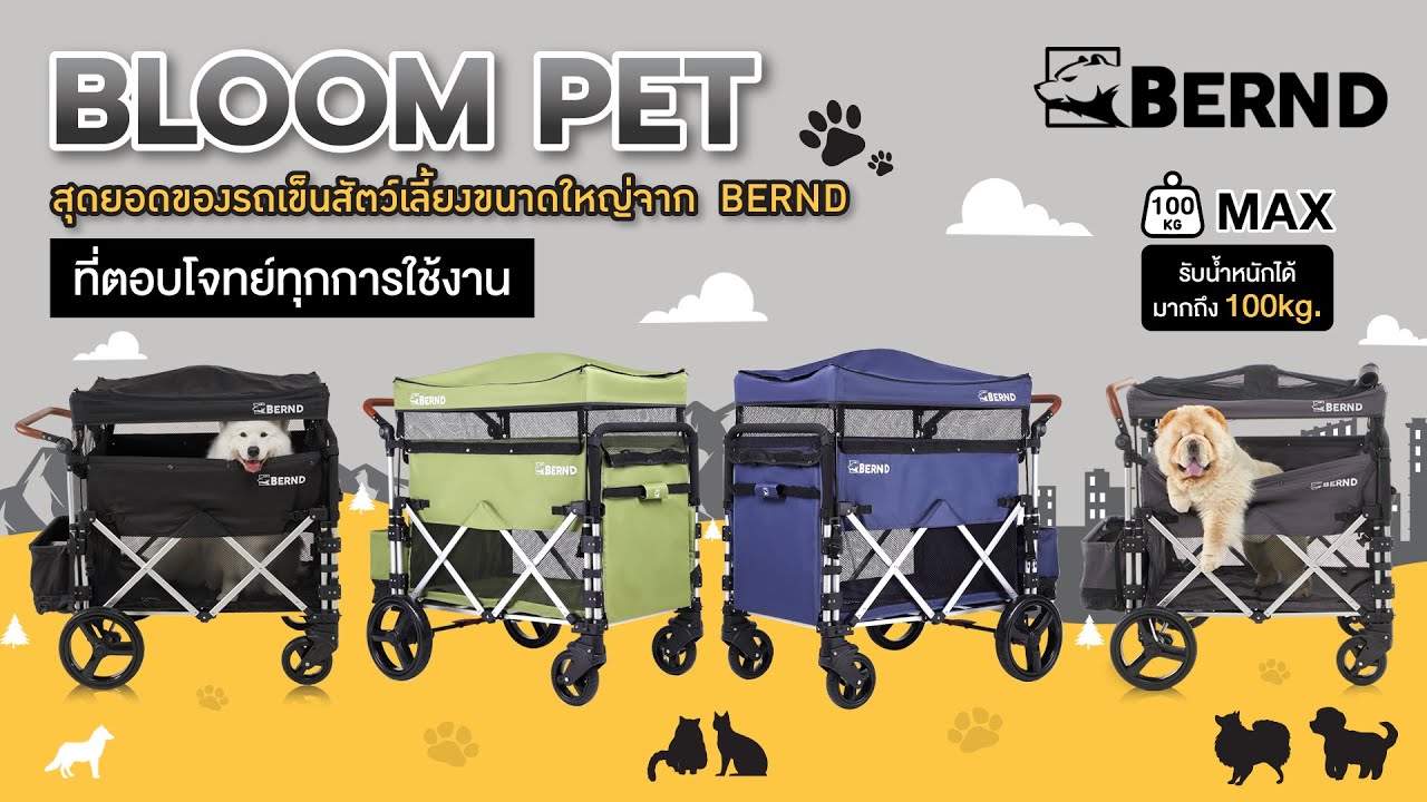 รถเข็นสำหรับสัตว์เลี้ยง Bernd รุุ่น Bloom Pet 4 สี - YouTube