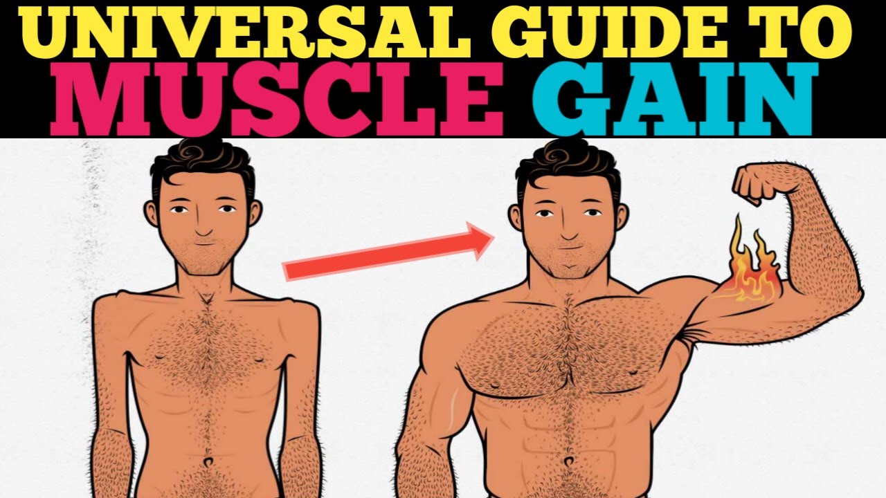 How to Gain Muscle, No Matter Who You Are | BUILD MUSCLE FAST ...