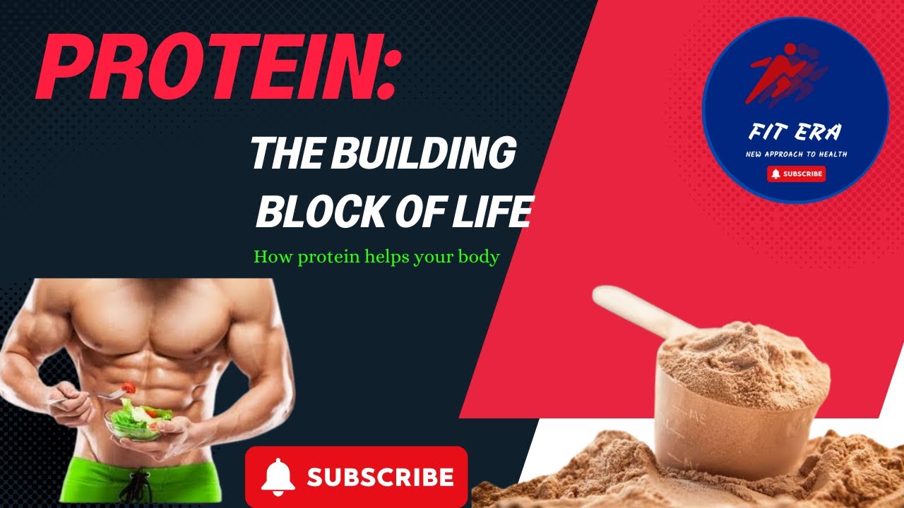 PROTEIN: Building blocks of life - YouTube