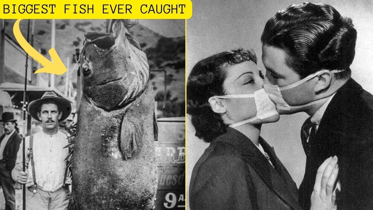 10 Rare Shocking and Heartbreaking Historical Photos You Wont Find In ...