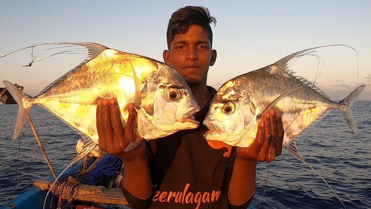 DIAMOND TREVALLY FISH CAUGHT IN SEA - YouTube