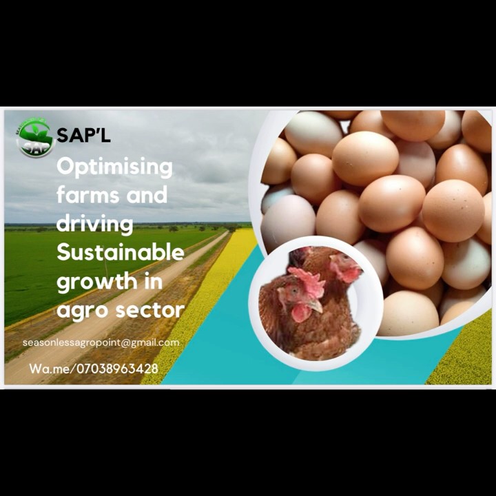 Elevate Your Farming Success with SAP'Limited: Experts Solutions for ...