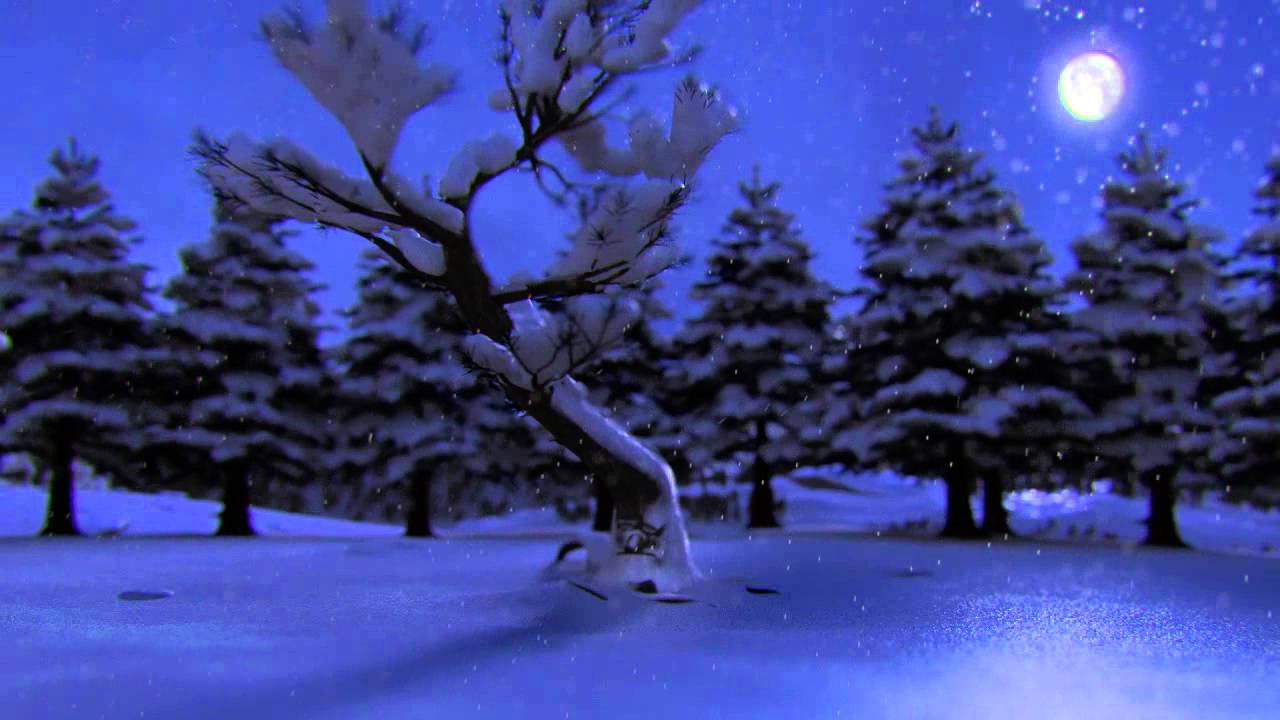The Crooked Tree - Short Animation - YouTube
