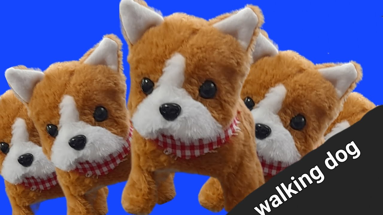 chinafake walking dog - YouTube