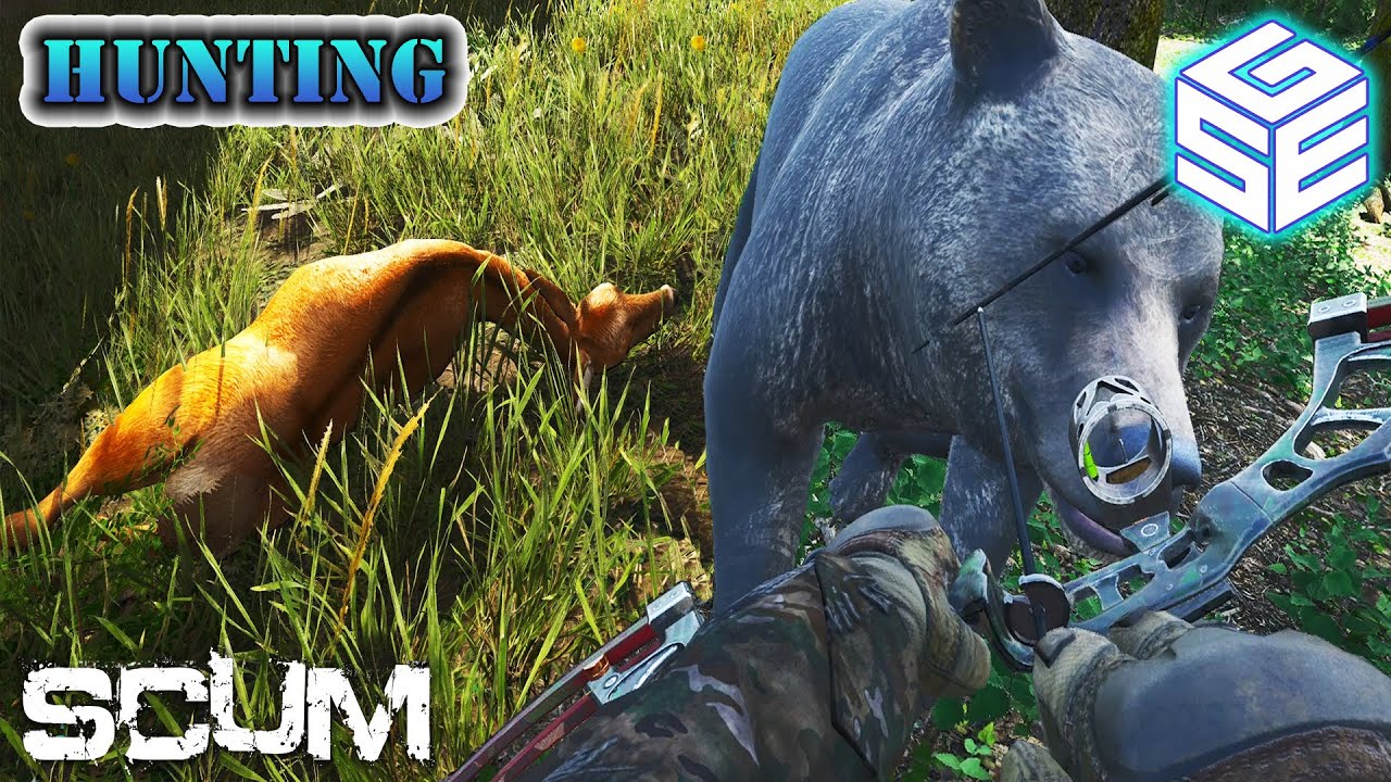 Hunting - Deer And Bear | SCUM - YouTube