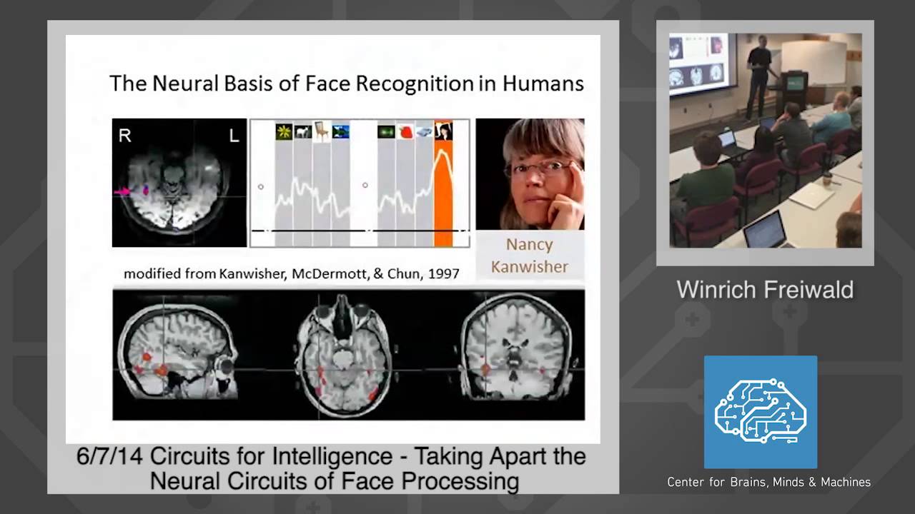 6/7/14 Circuits for Intelligence - Winrich Freiwald: Neural Circuits of ...