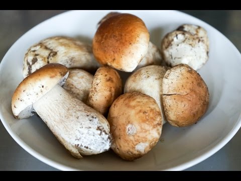Nettoyer les cèpes