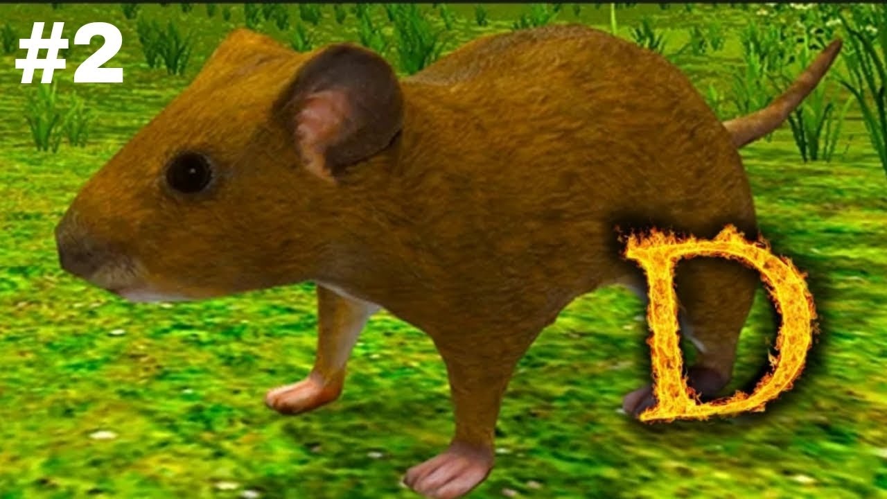 mouse simulator part 2 gameplay games - YouTube