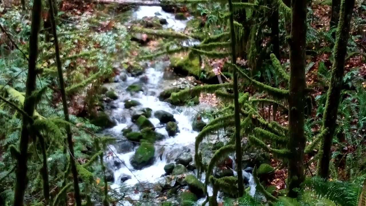 RAMBO FALLS 3. GOLDEN EARS PARK. MOVIE FILMING LOCATION. - YouTube
