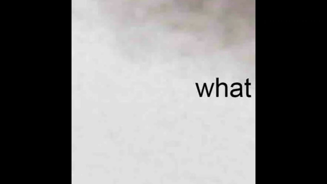 c4pri - axel ocelot - YouTube Music