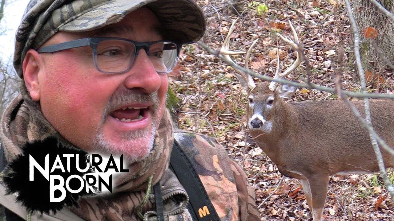Steve Stoltz' Iowa Timber Buck! | Natural Born - YouTube