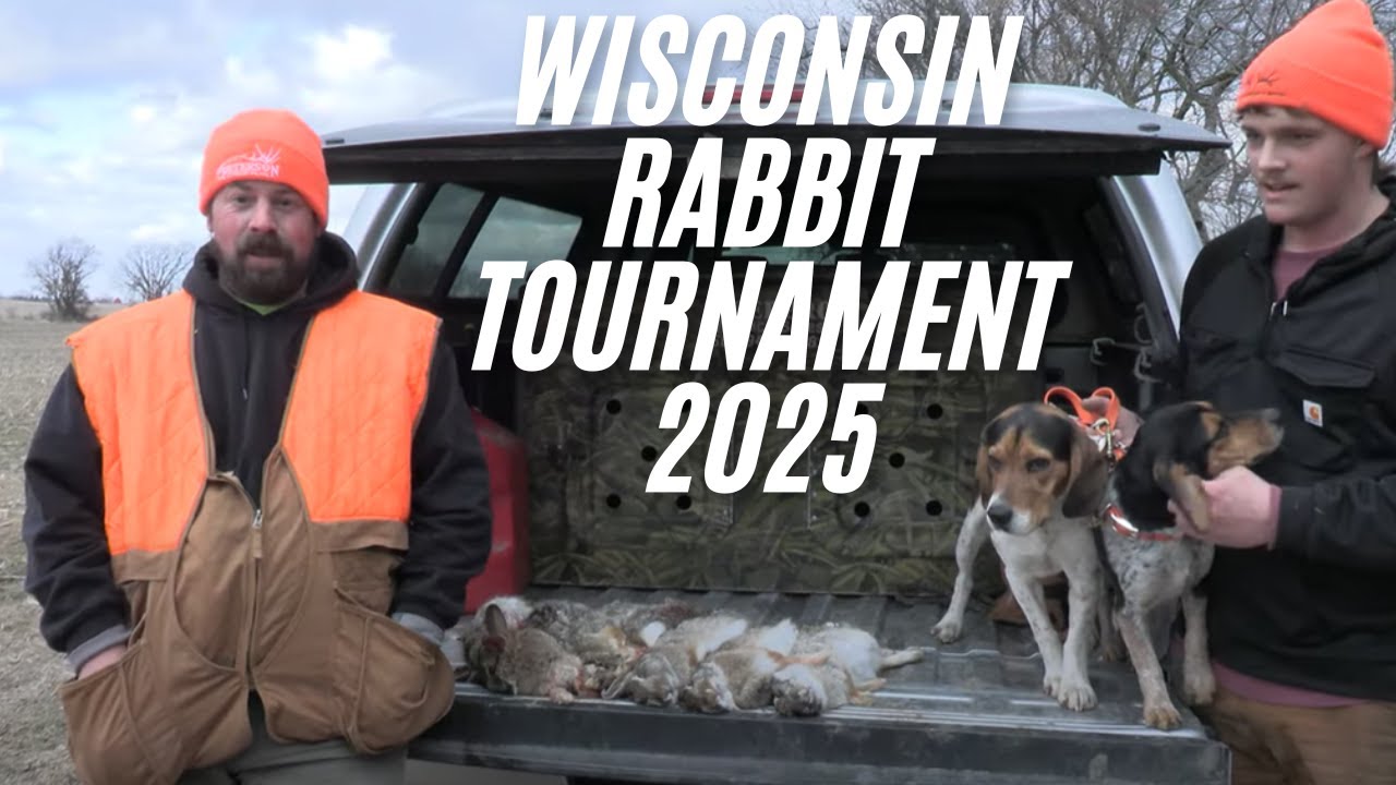 WISCONSIN RABBIT HUNTING 2025 | TOURNAMENT TIME!! - YouTube