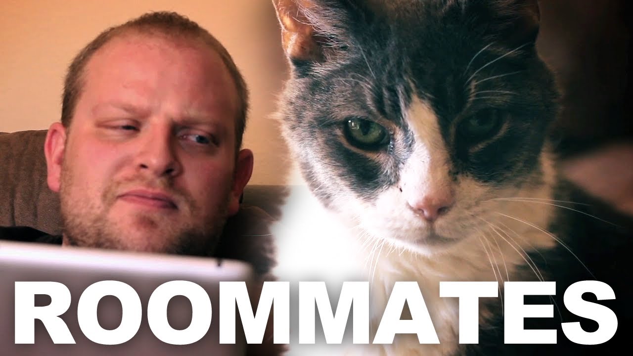 Roommates - YouTube