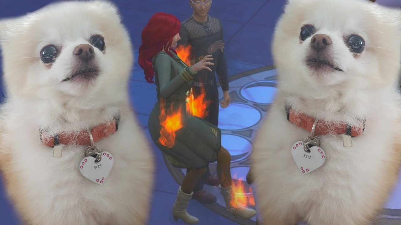 TRAINING IN THE MAGICAL REALM LEADS TO ONE TOASTY PUP - SIMS 4 - YouTube
