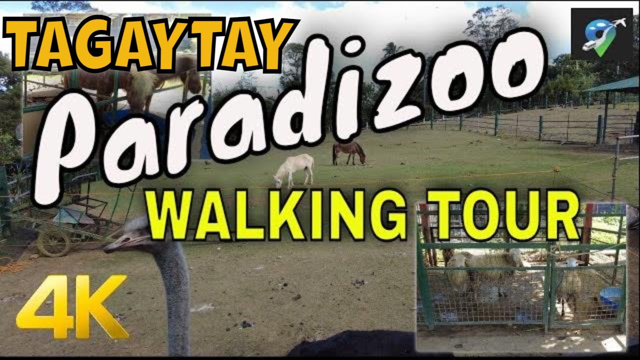 [4K] One of the famous Zoos in Tagaytay | Paradizoo | Walking Tour ...