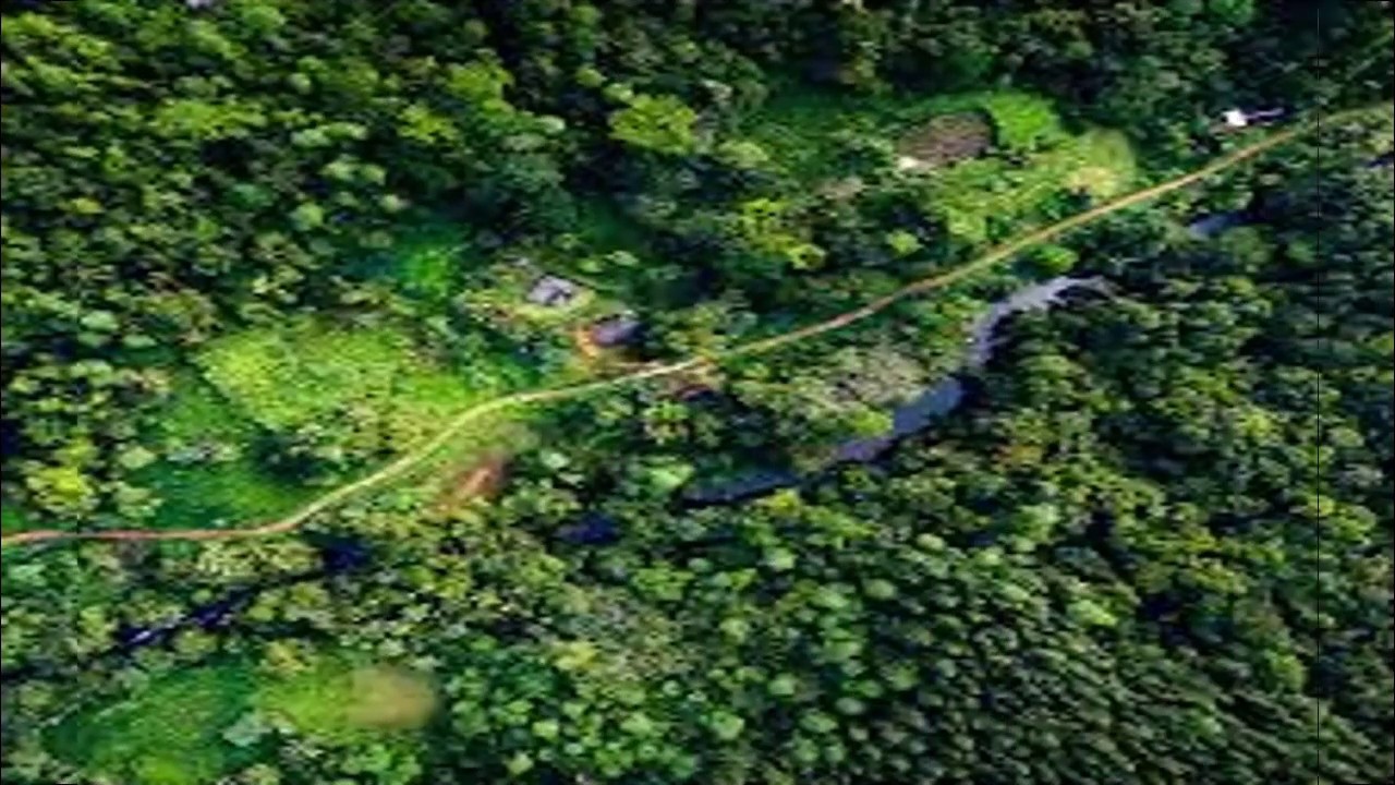 HORTAN THANNA | Hortan Plains - YouTube