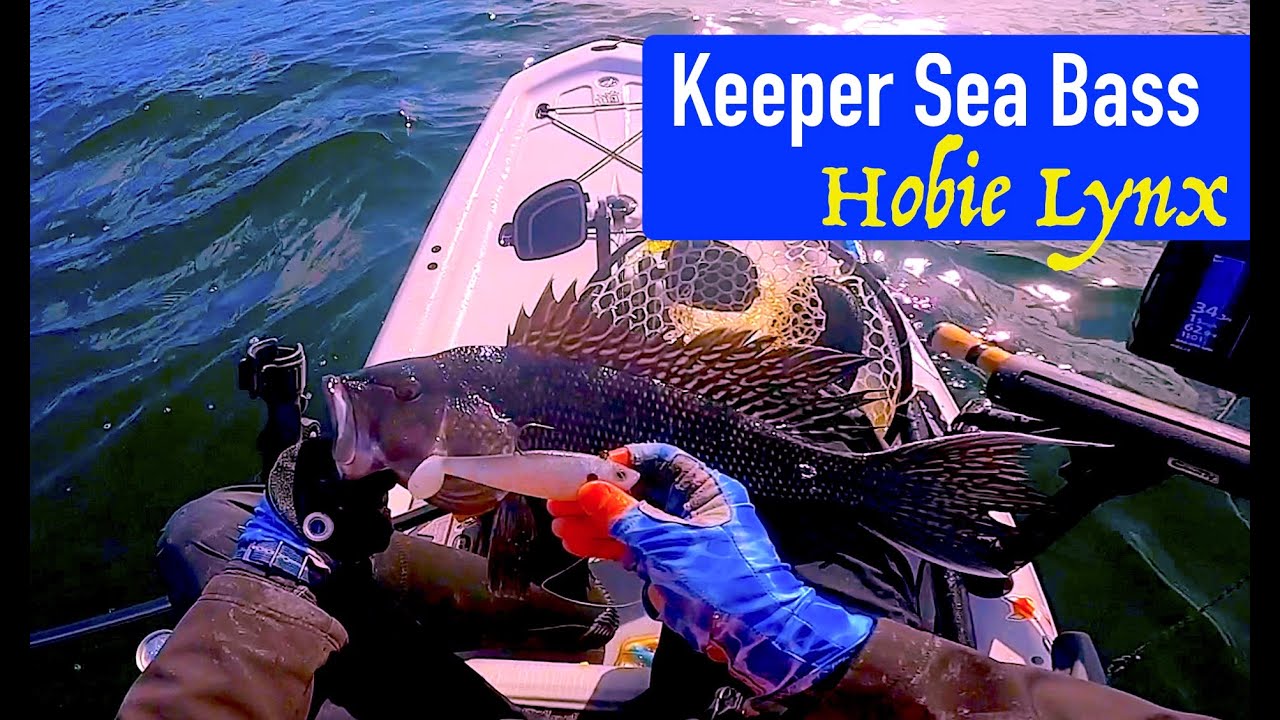 New England weather vs kayak anglers! Black Seabass, Toadfish? Monkfish ...