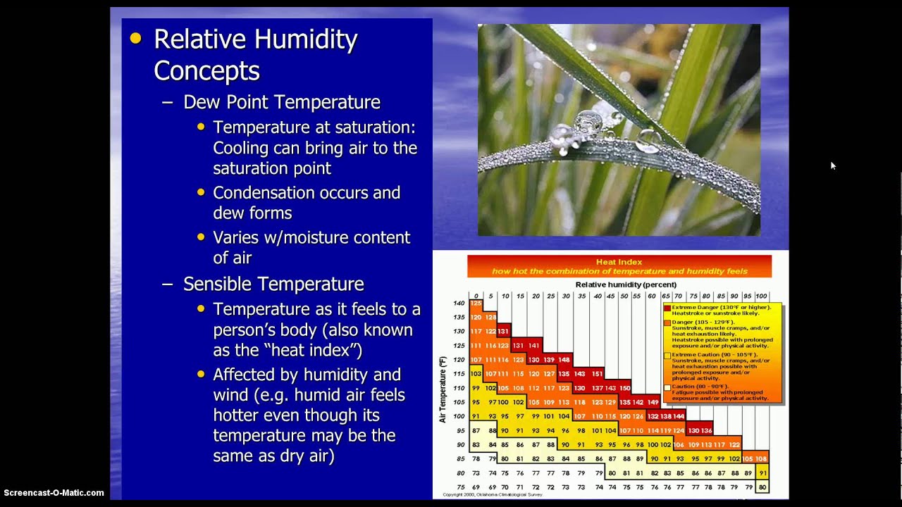 Humidity and the Dew Point Temperture - YouTube