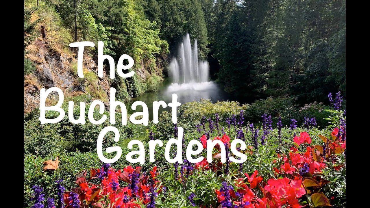 Butchart Gardens Victoria Tulips Upon Tulips At The Butchart Gardens