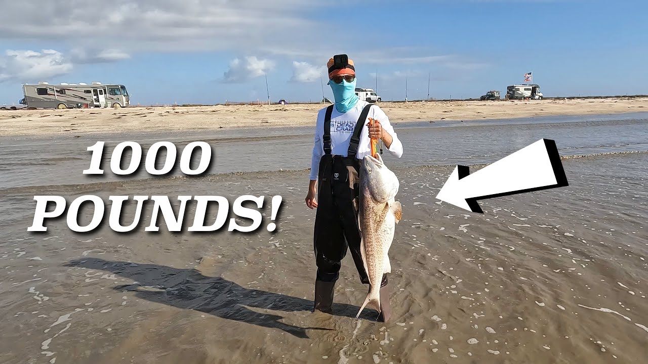 Most Bull Redfish EVER caught on YouTube? Over 1000LBS OF FISH caught ...
