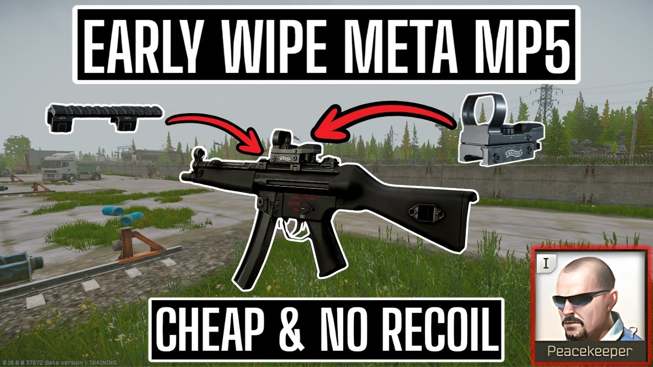 Best BUDGET Meta MP5 in Tarkov Early Wipe - YouTube
