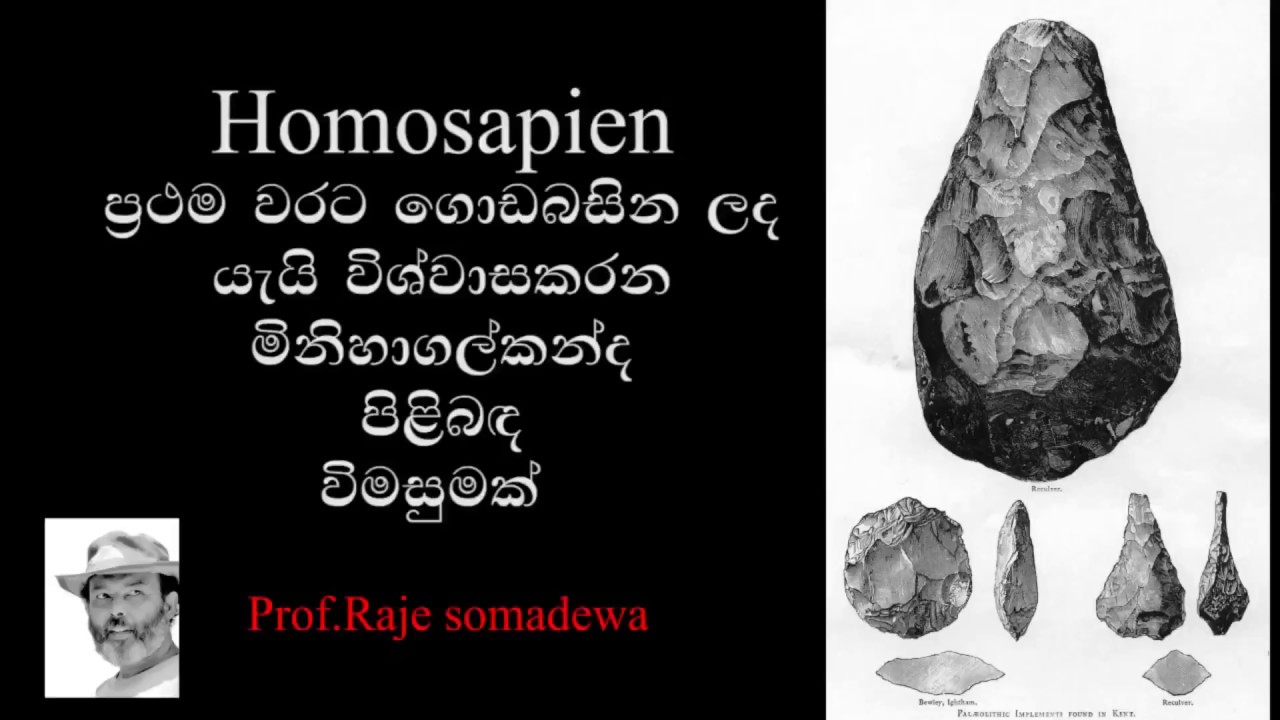 Homosapian ප්‍රථම වරට ගොඩබසින ලද යැයි විශ්වාස කරන මිනිහාගල්කන්ද පිලිබද ...