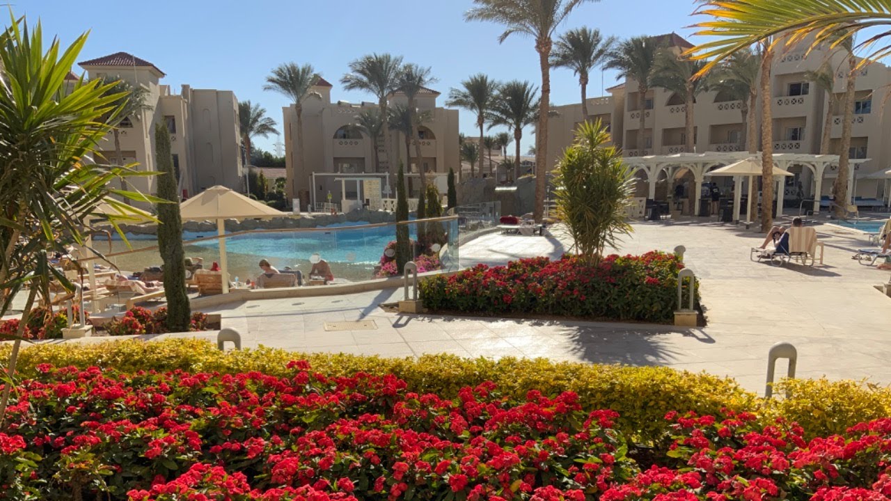 PJ Audits, Live From Guess Where - YouTube