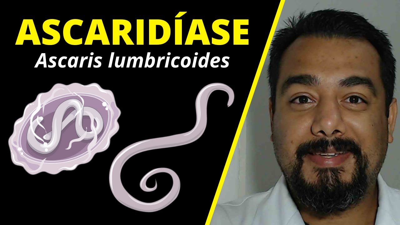Ciclo De Vida Do Ascaris Lumbricoides