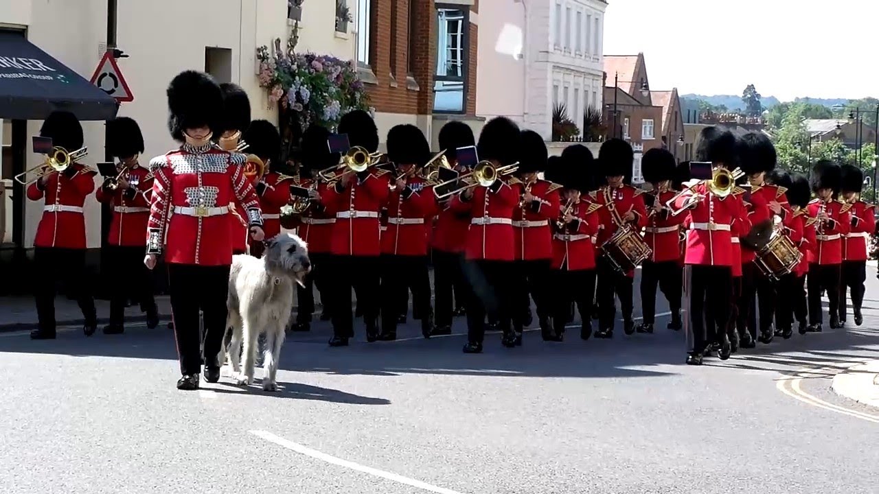 Seamus Leading Irish Guards - YouTube