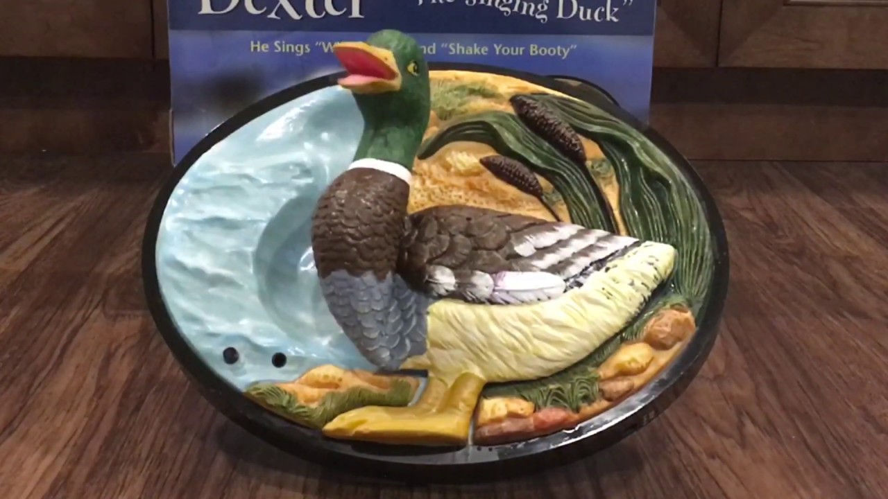 Dexter the singing duck (rare) - YouTube