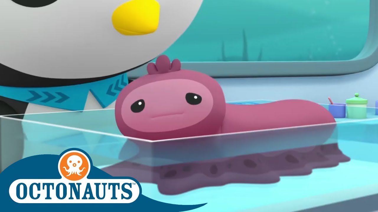 Octonauts - Icky and Sticky | Triple Special | Cartoons for Kids - YouTube