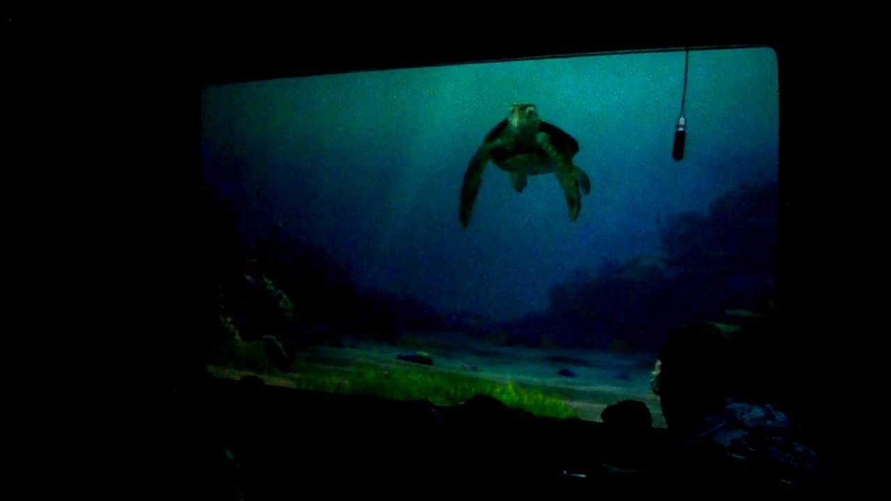 Turtle talk with crush disneyland CA - YouTube