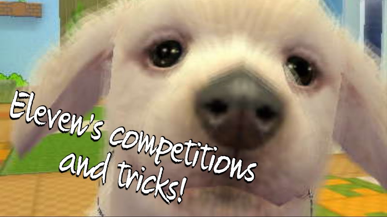 Eleven's Daily Competitions + Learning new tricks ( Nintendogs + Cats ...