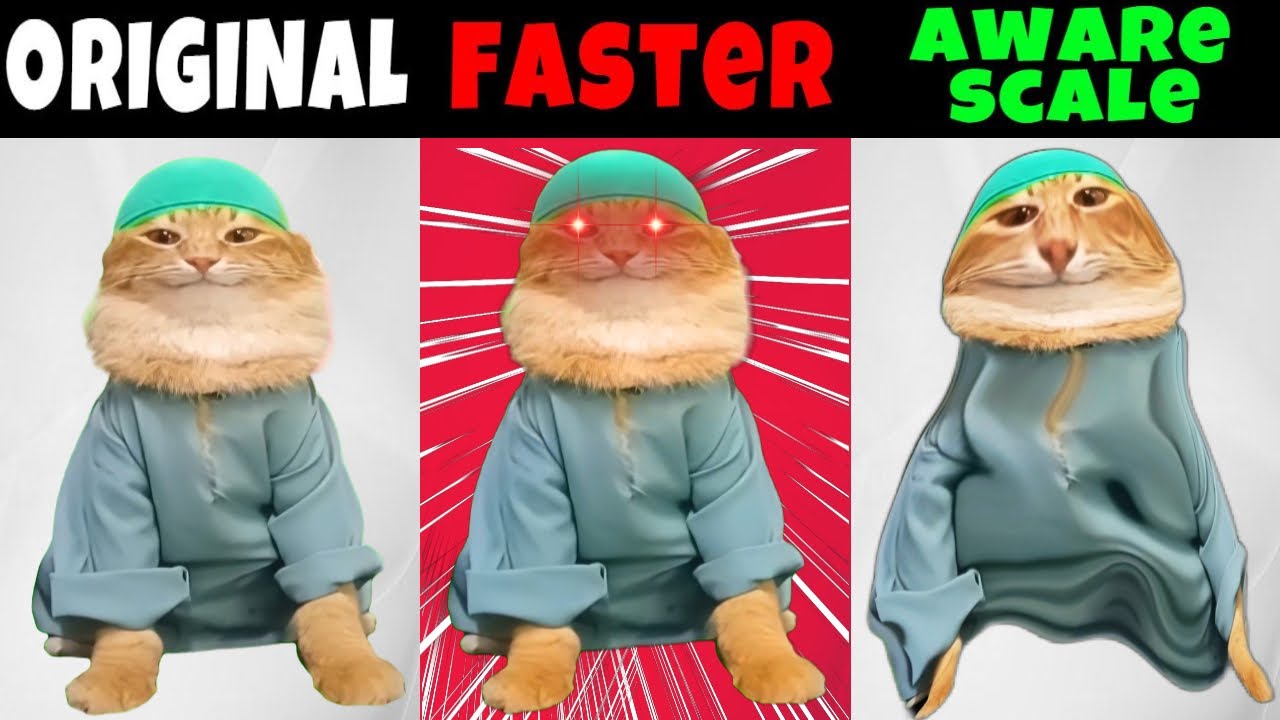 Tob Tobi Tob Tob Muslim Cat in Different Variations - YouTube