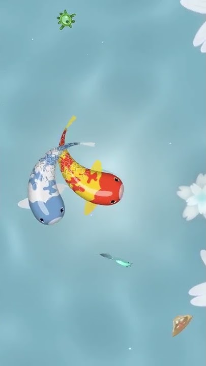 Zen Koi - Breed & Collect Fish - YouTube